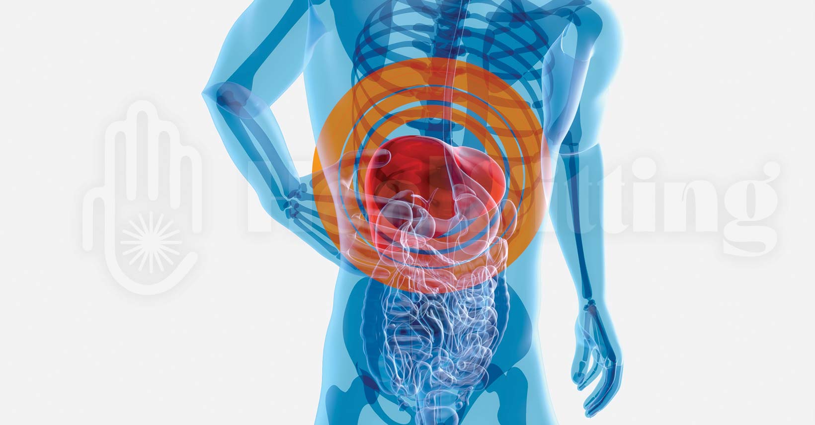 The link between muscle pain and internal organ problems - HealSitting